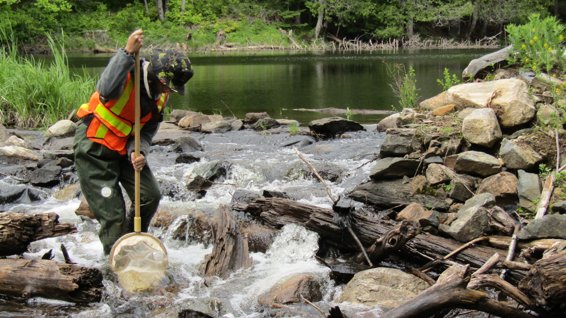 Benthic Monitoring – Crowe Valley Conservation